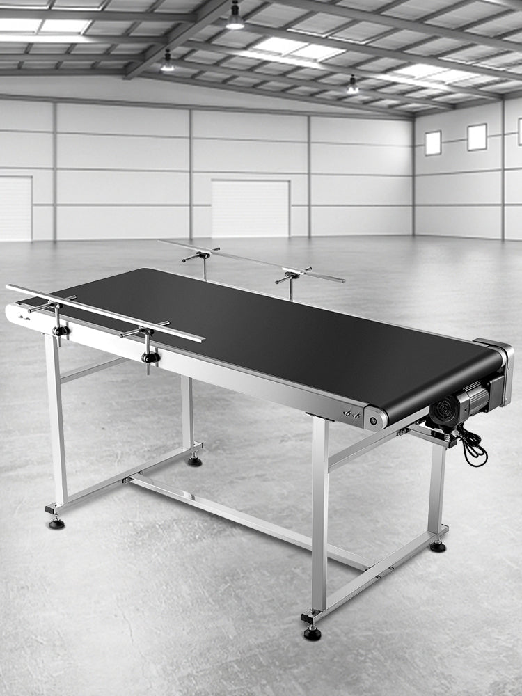 SNEED-PACK® Wide Belt Conveyor for Case Coding